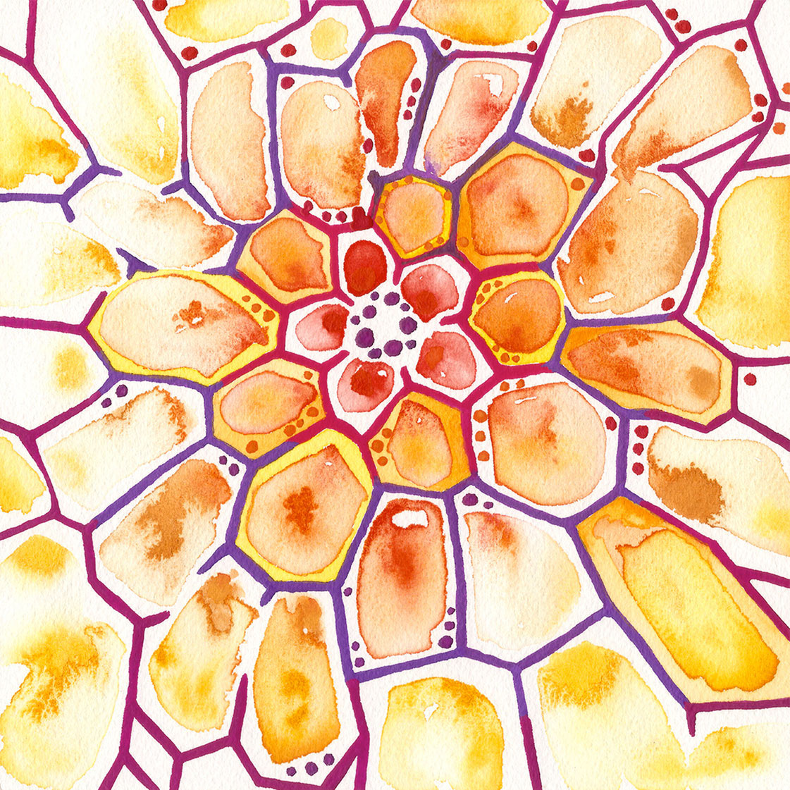 Mel Shapcott | Spirit Eye Gallery